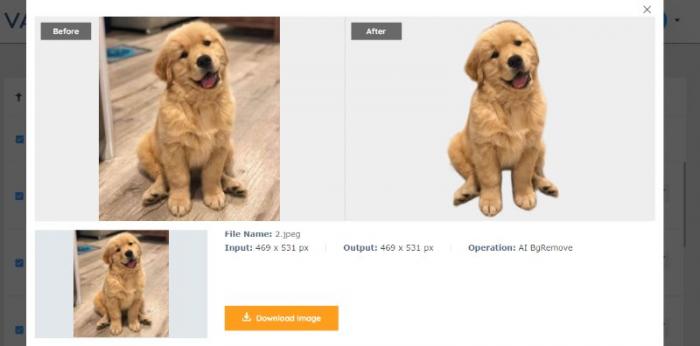 How to Remove White Background from Image - 5 Best Ways